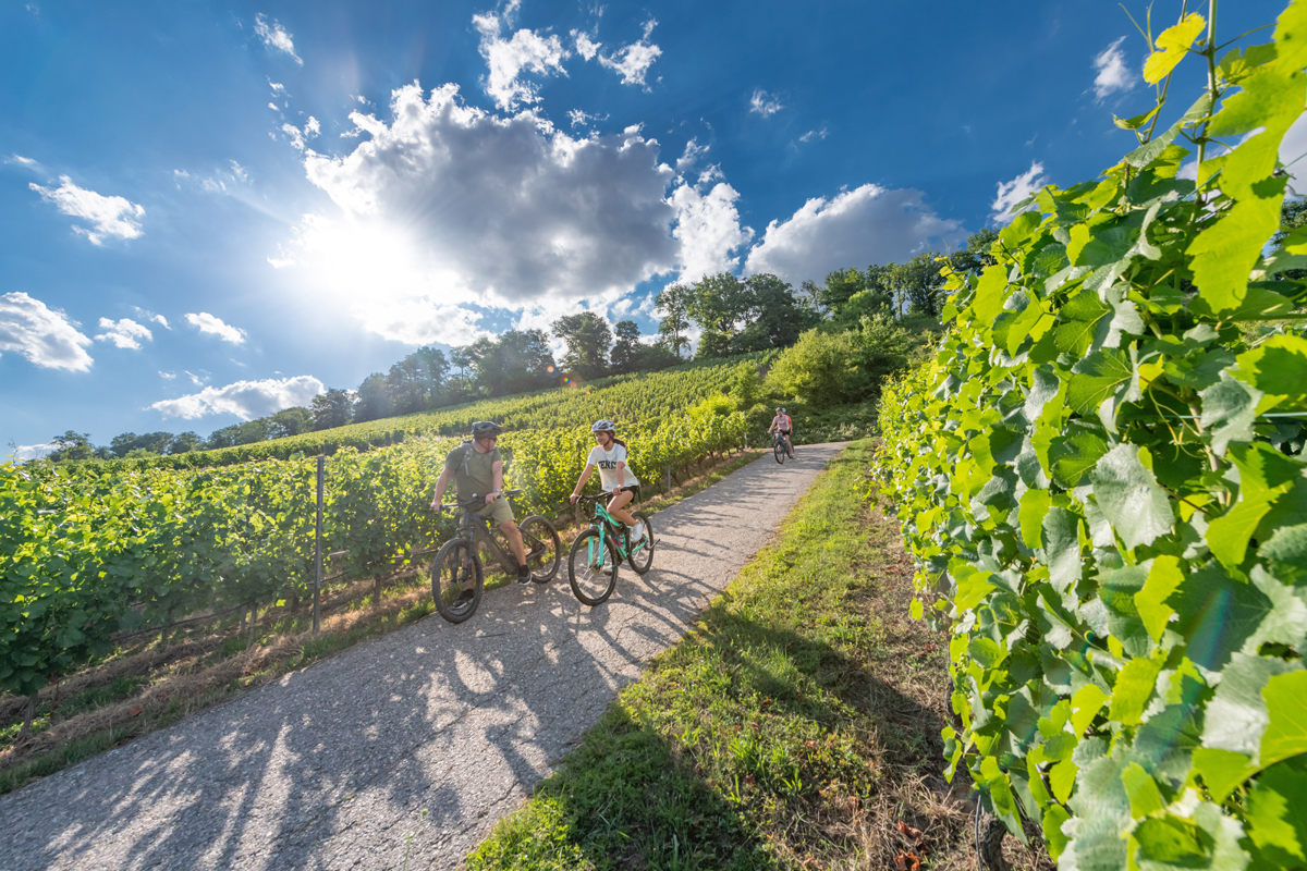 Sinsheimer Erlebnisregion erstmals auf der CMT